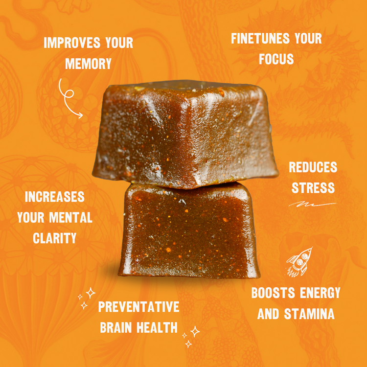 Brain Health Mushroom Gummies | Lion's Mane, Cordyceps | Nootropics ...
